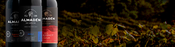 Almadén Vinhos Finos | Miolo