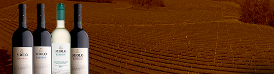 Miolo Reserva | Miolo